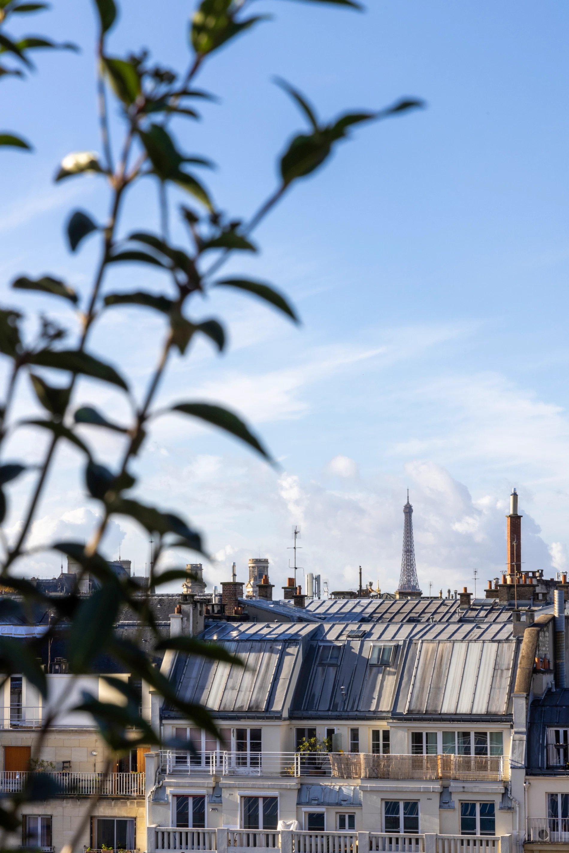 Hôtel Pilgrim Paris****- Heart of Latin Quarter - Paris 5th Hotel